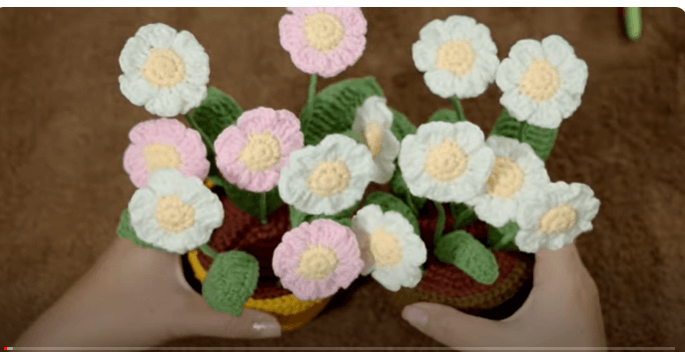 How to crochet Daisy flowers in a pot tutorial - Knitting Patterns DIY